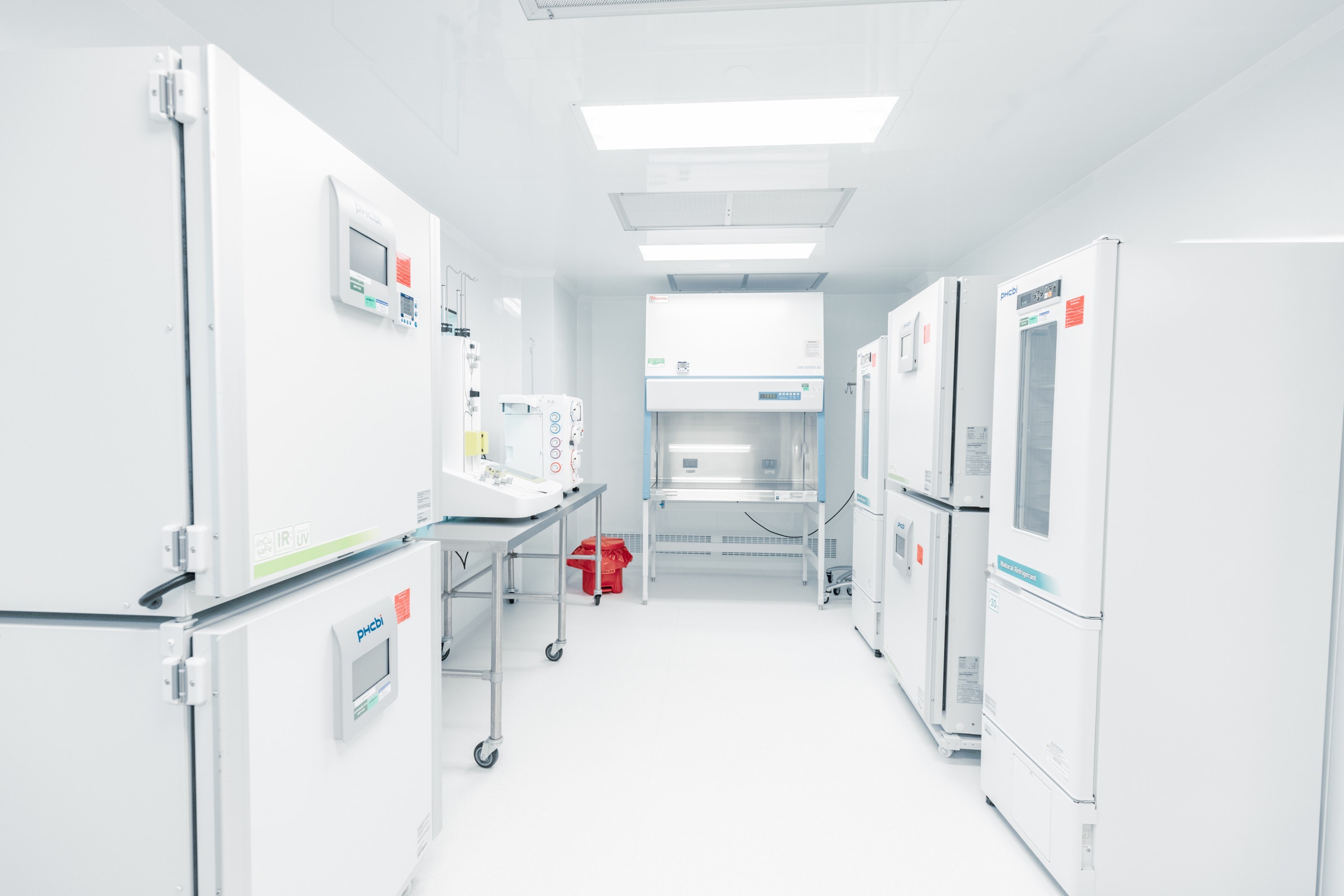 Cell Therapy QC Testing & Stability Studies | Made Scientific