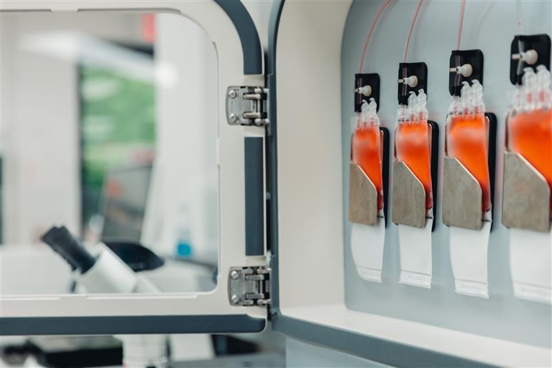 [eBook] Translating Innovation: A Guide to Cell Therapy Manufacturing